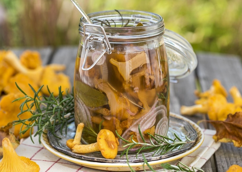 Våra 10 bästa recept med kantareller