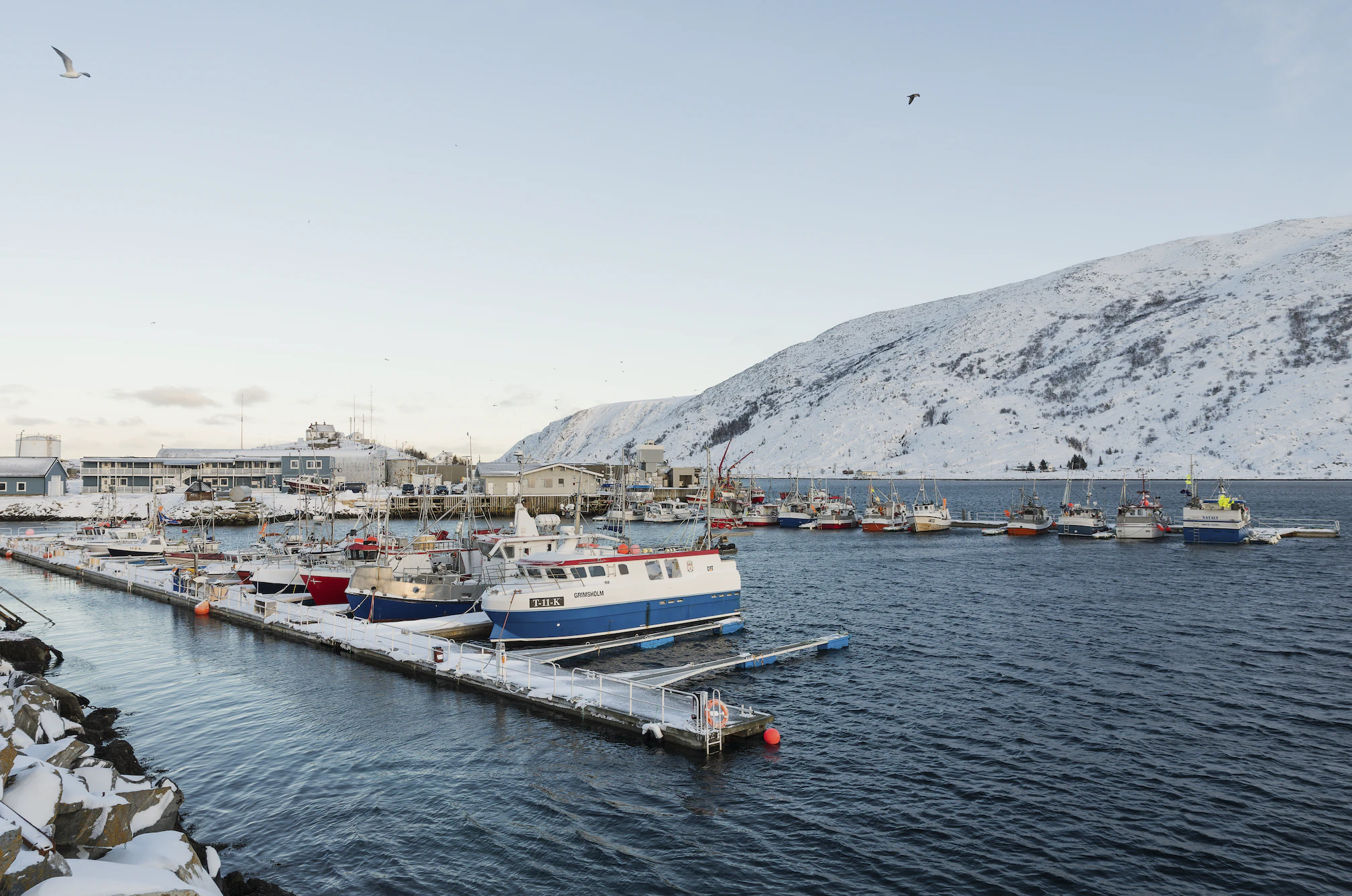 Tid för skrei – 4 recept med norsk torsk