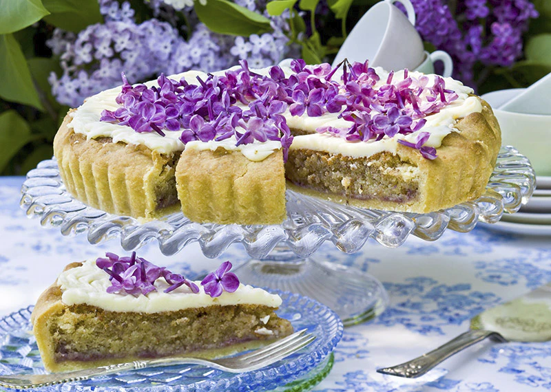 10 somriga recept med syren