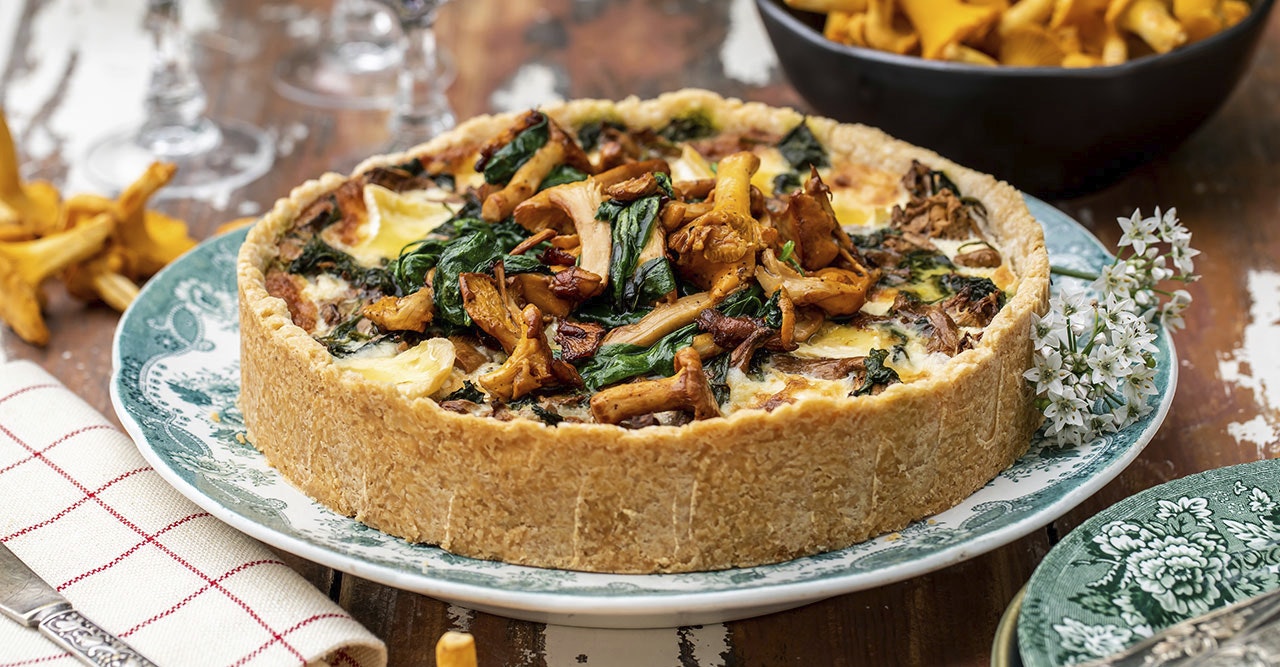 Svamp – recept för alla smaker