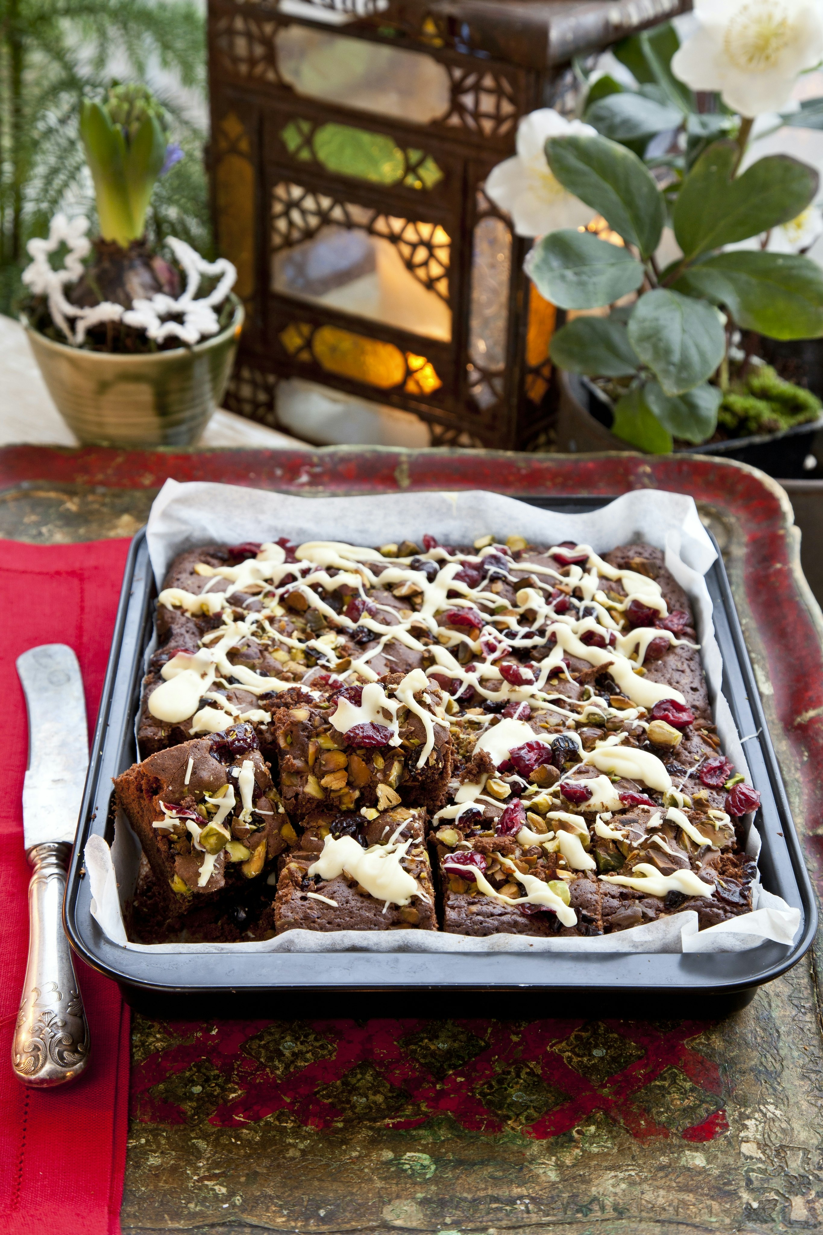 Chokladrutor i långpanna med torkade tranbär