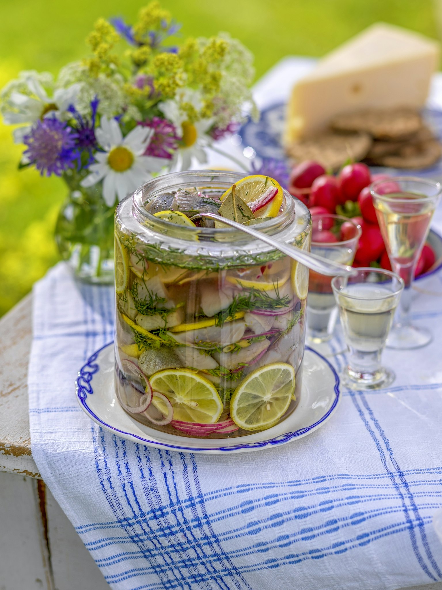 Sill med dill, citron och gurka