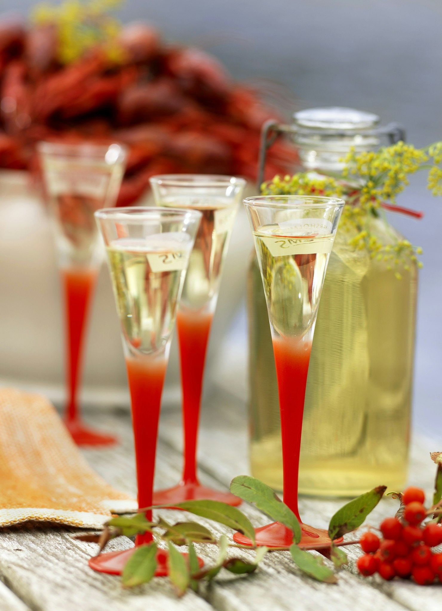 Citronsnaps med anis och fänkål