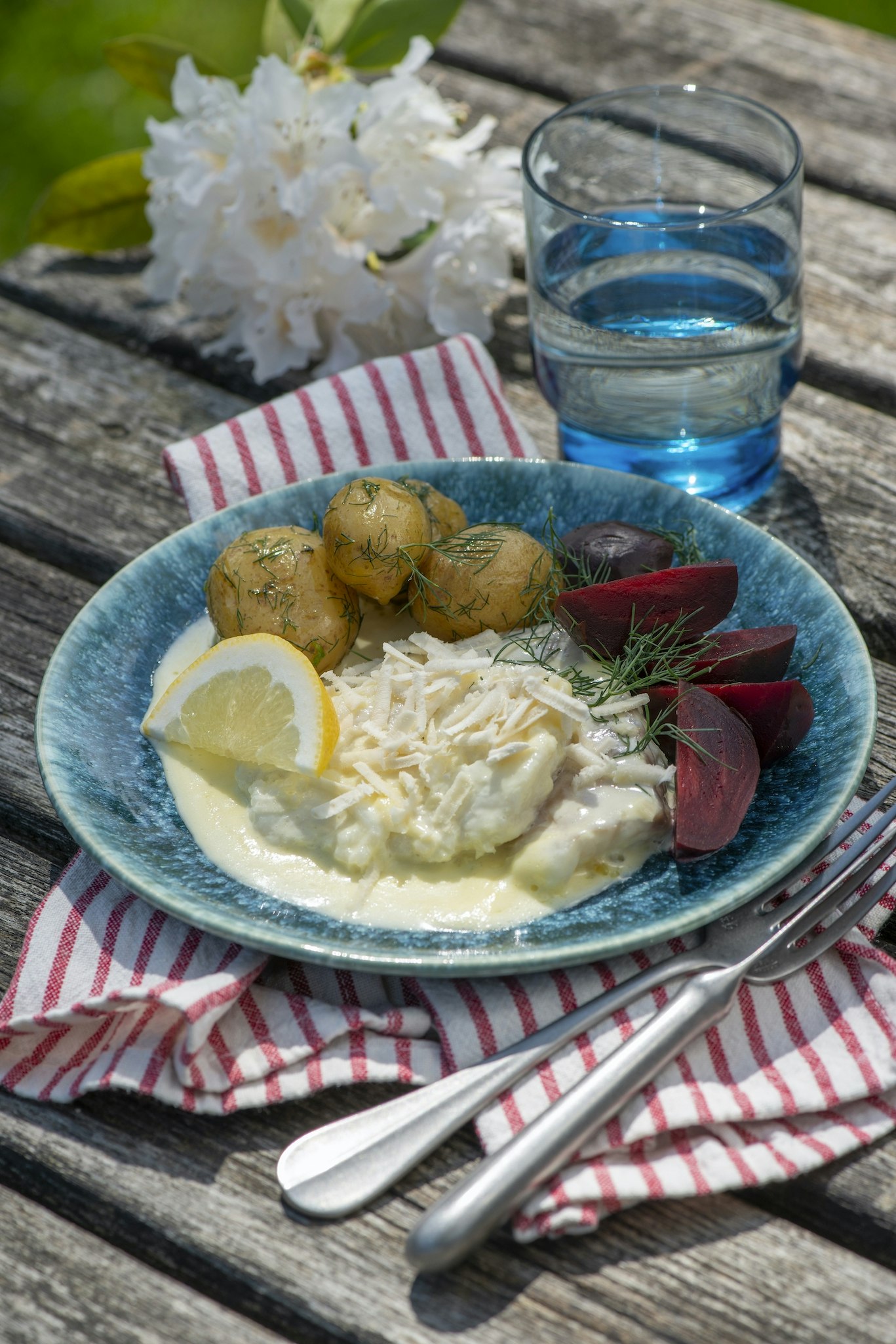 Torsk med pepparrotssås, potatisstomp och vaxbönor