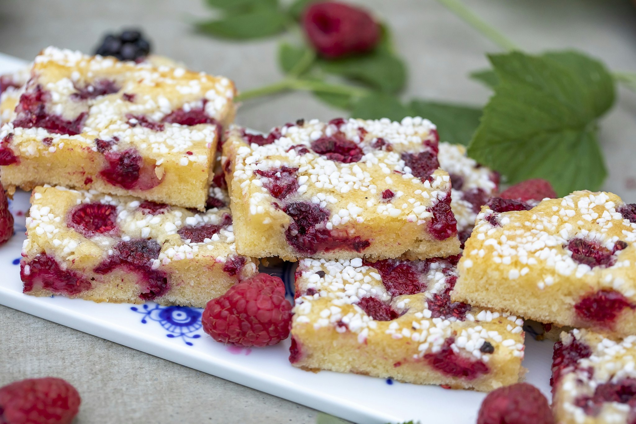 Snabba och sega hallonrutor