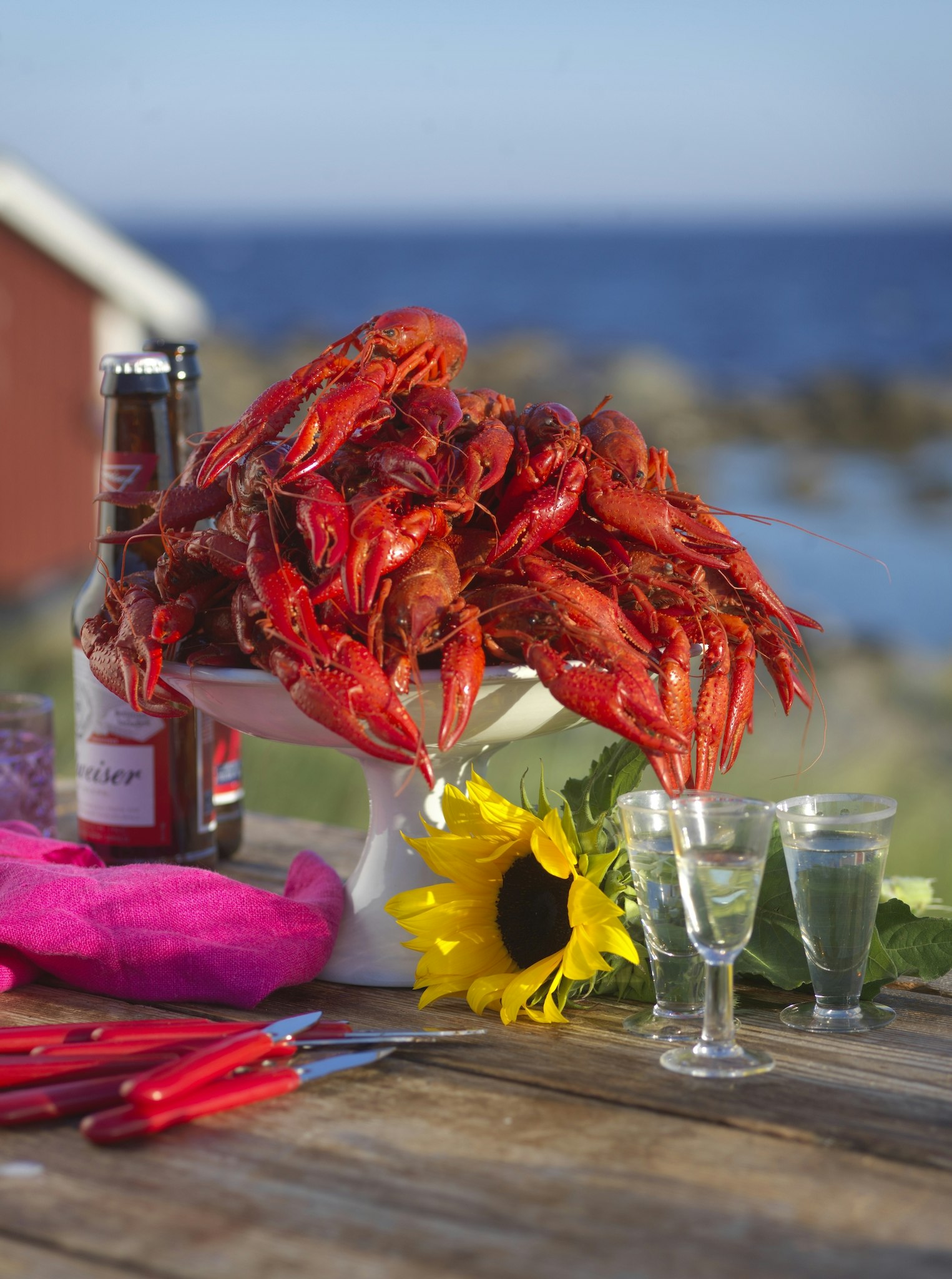 Kräftlag med porter, sherry och krondill