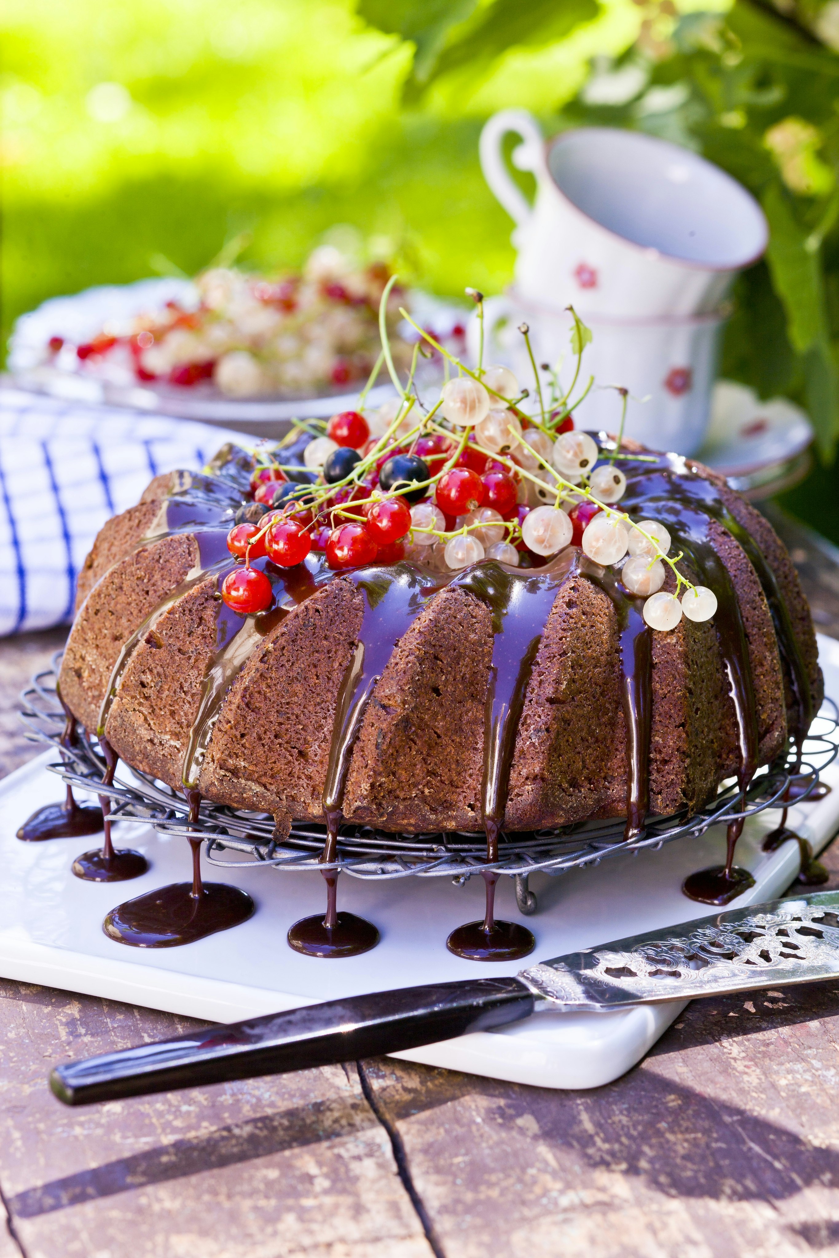 Mjuk chokladkaka med vinbär