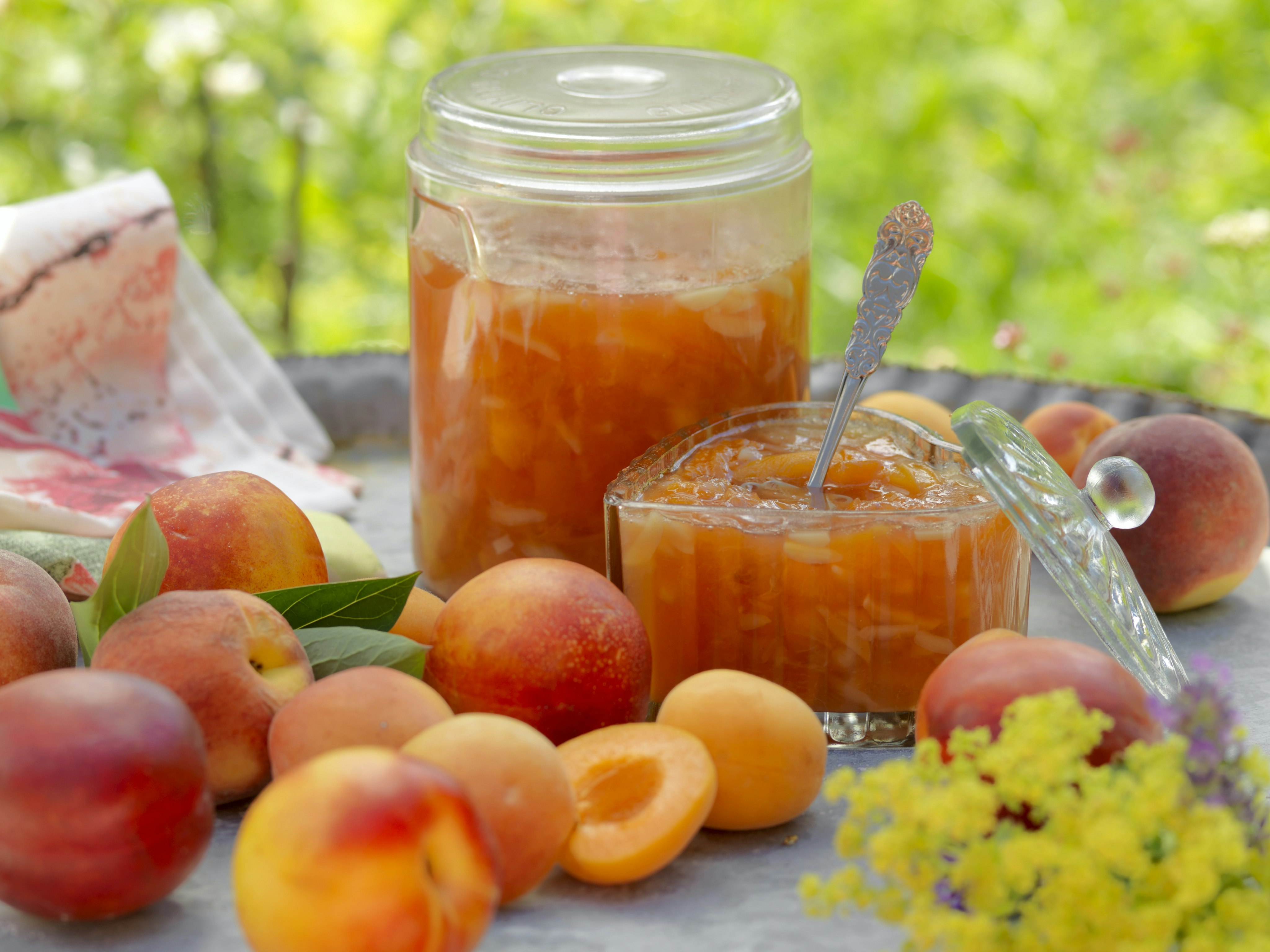Persiko- och aprikossylt