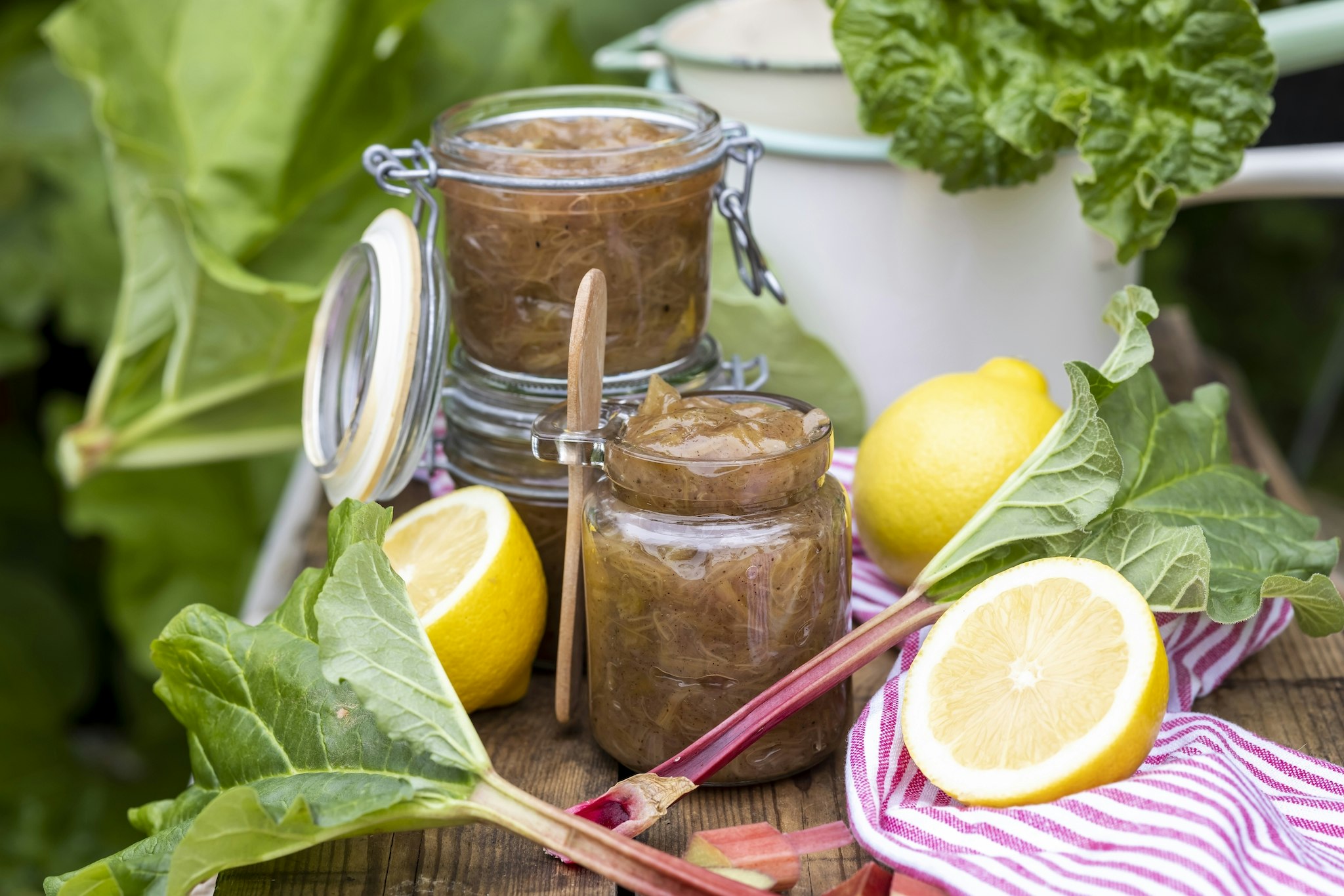 Rabarbermarmelad med vanilj