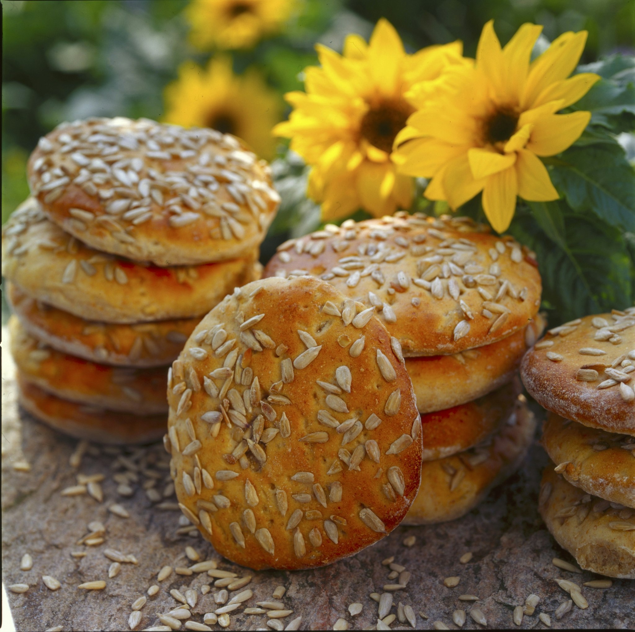 Tekakor med solroskärnor