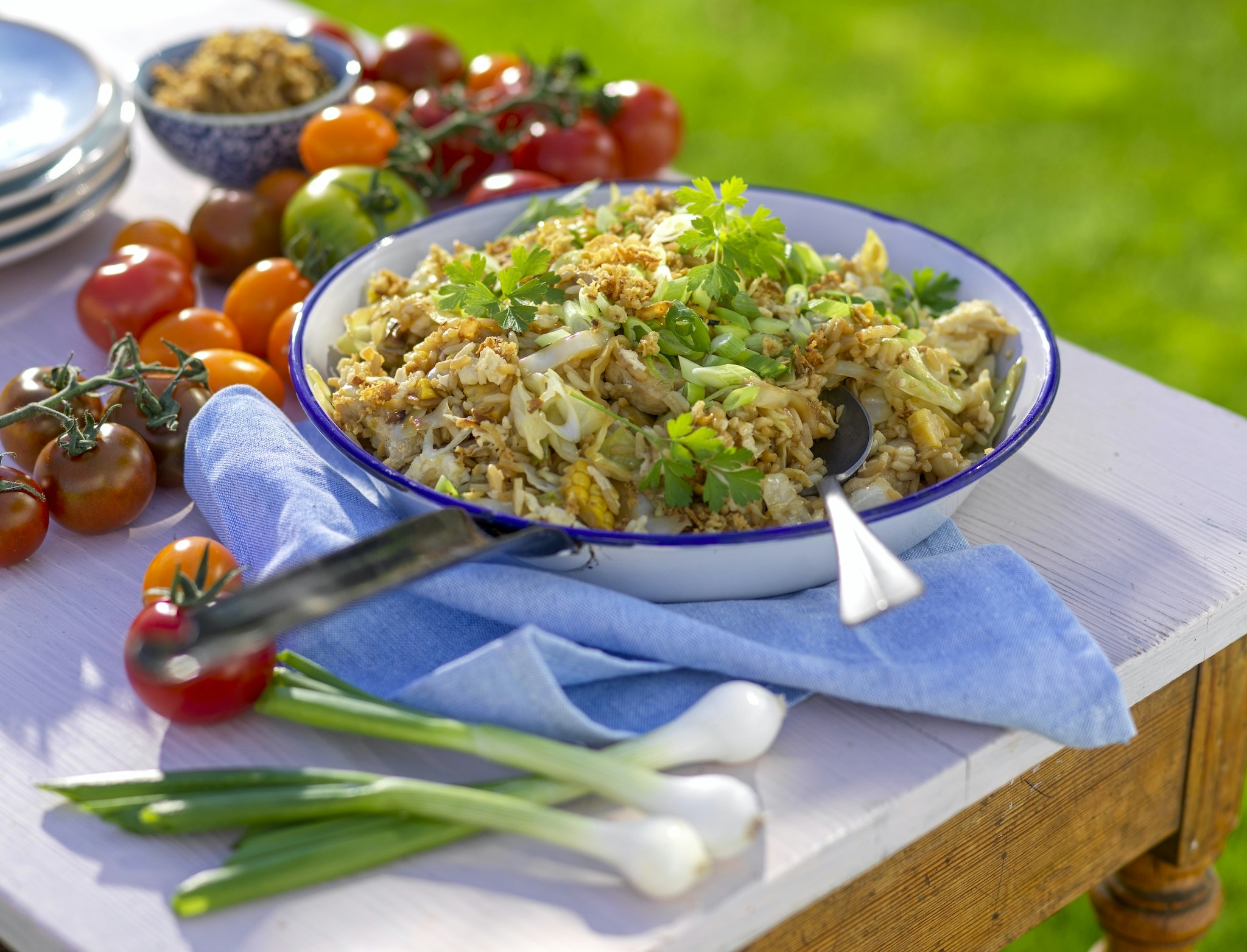 Kyckling Stroganoff med ris